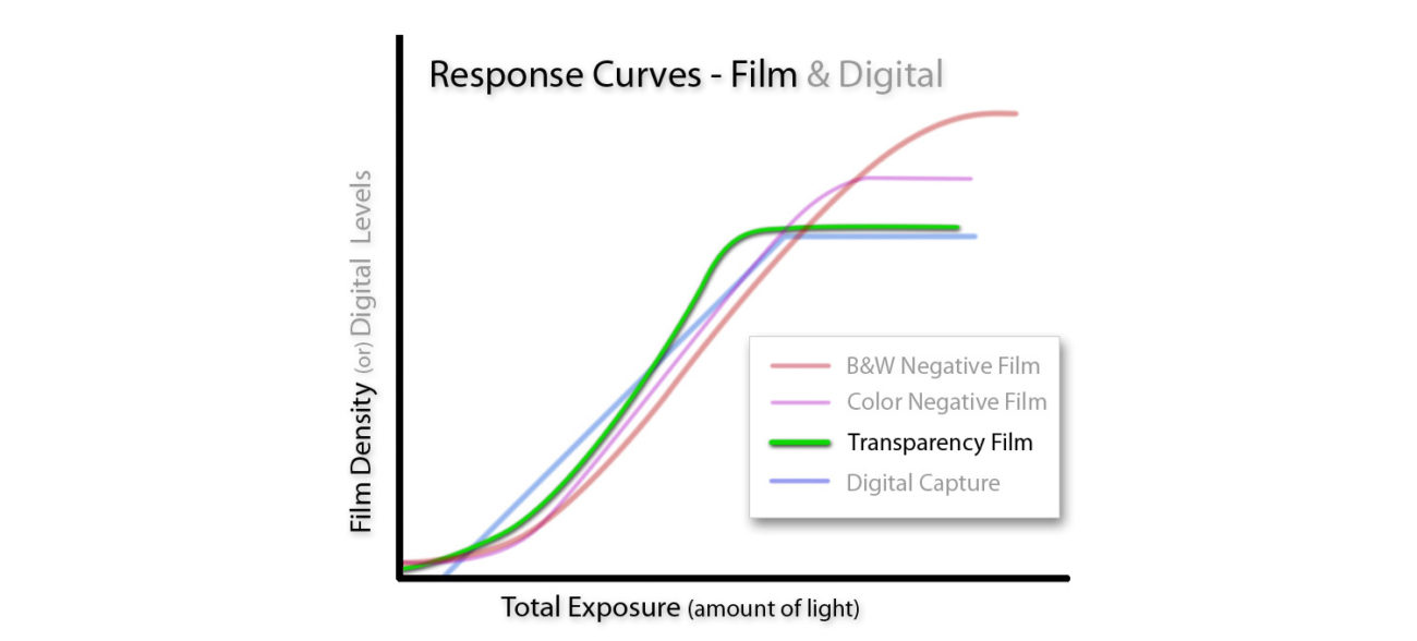 Five shooting situations that require a specific camera - Frame.io Insider