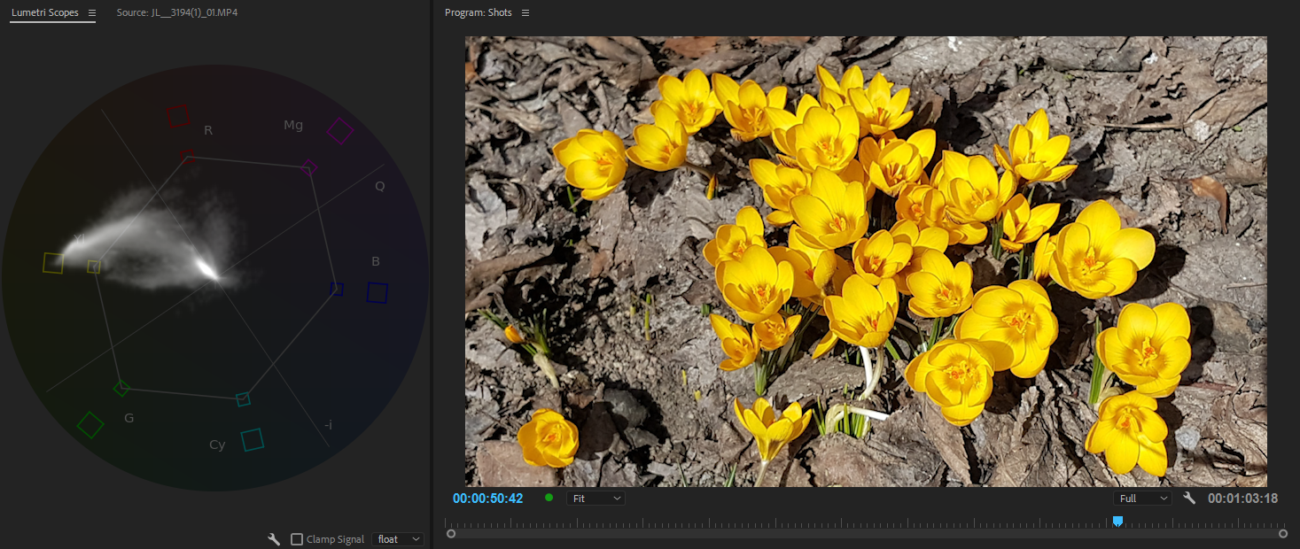 How to Use and Read the Four Primary Video Scopes