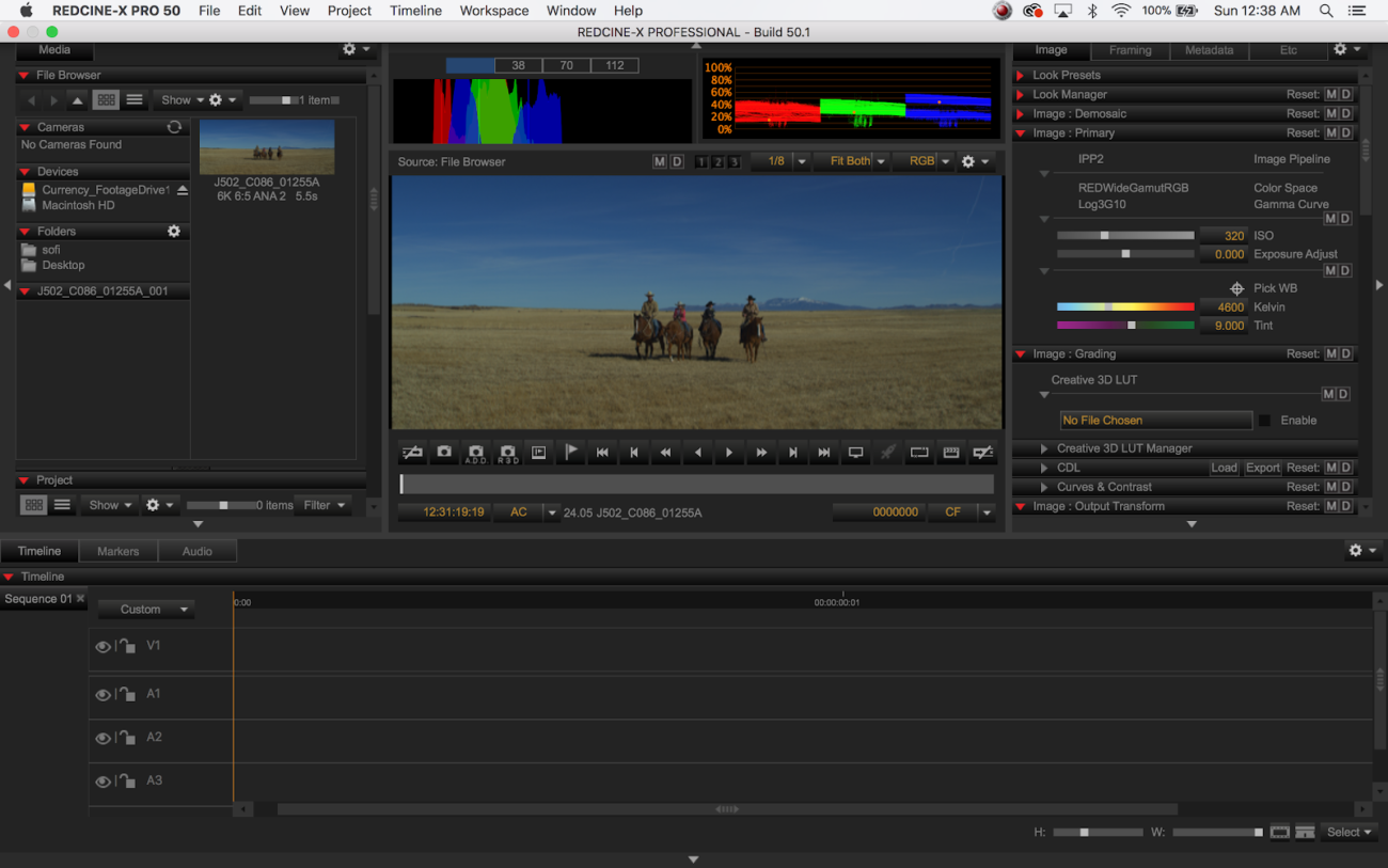 Complete Guide to RED Workflows: Premiere, FCP X and Resolve
