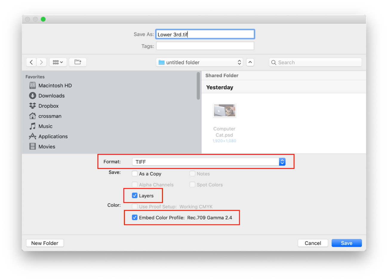 The Beginner's Guide to Color Management with Adobe Creative Cloud Apps