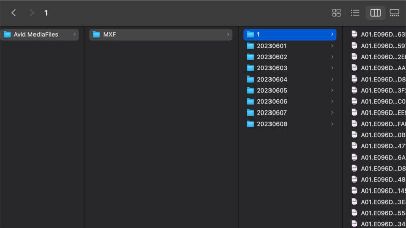 Insider Tips: Get Your Avid MediaFiles in Order - Frame.io Insider